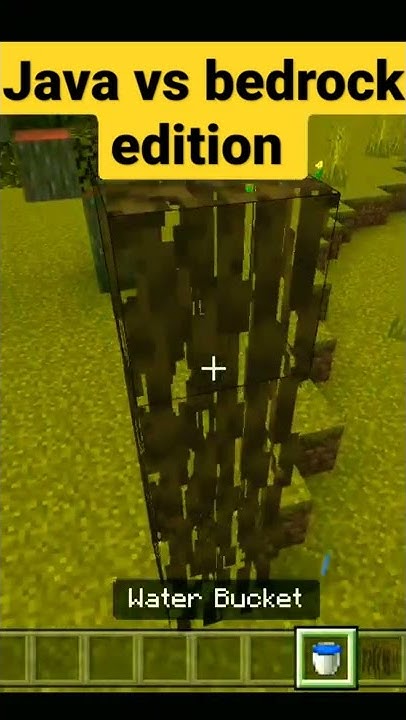 java edition vs bedrock edition || #shorts #youtubeshorts - YouTube