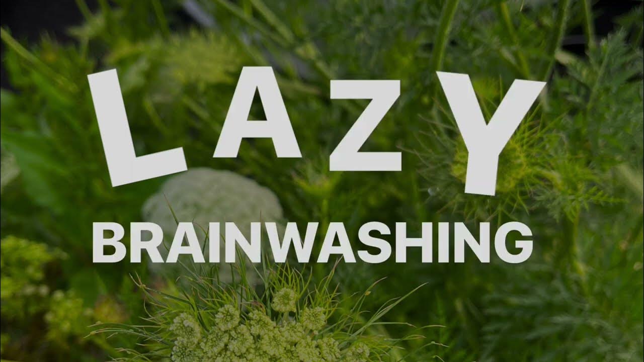 LAZY Brainwashing // Feedee Hypnosis - YouTube