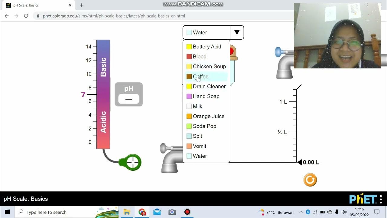 pH Scale: Basic | Simulasi PhET - YouTube