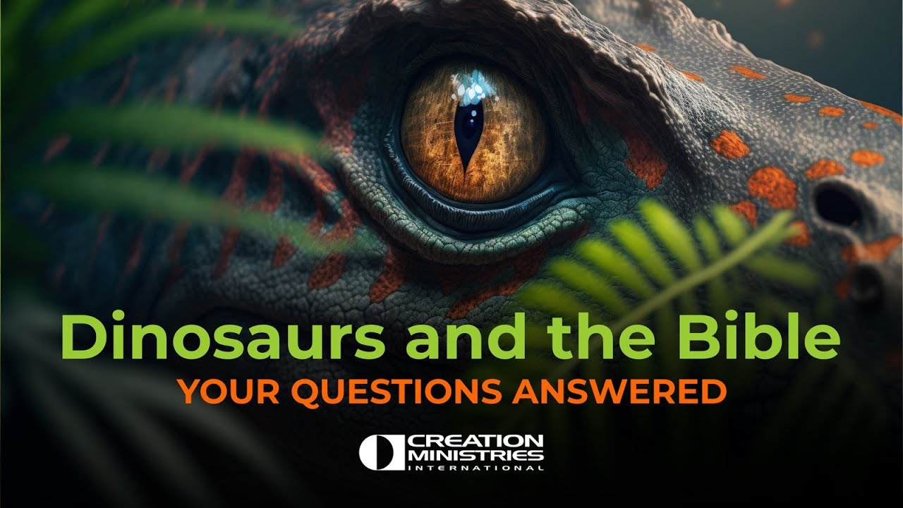 Dinosaurs and the Bible - Creation Ministries International (Part 2 of ...