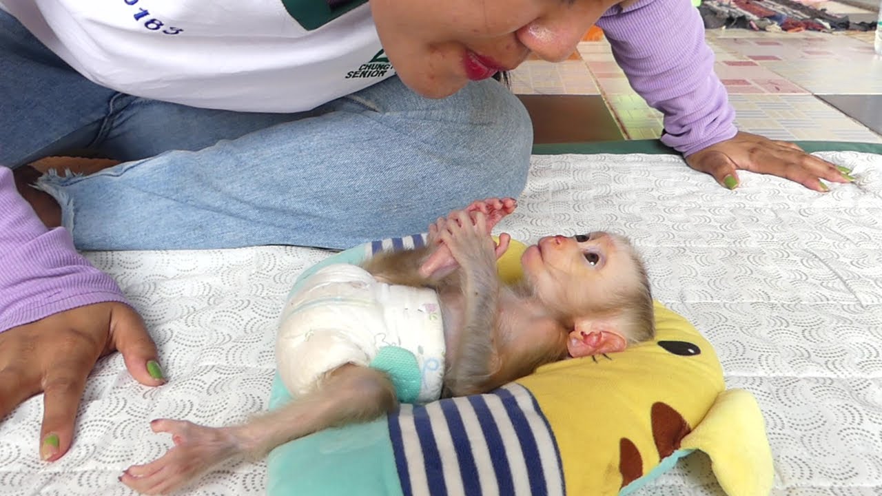 Smart Small Baby Elan Sweet Speaking Lip With Her Mom So Fresh - YouTube