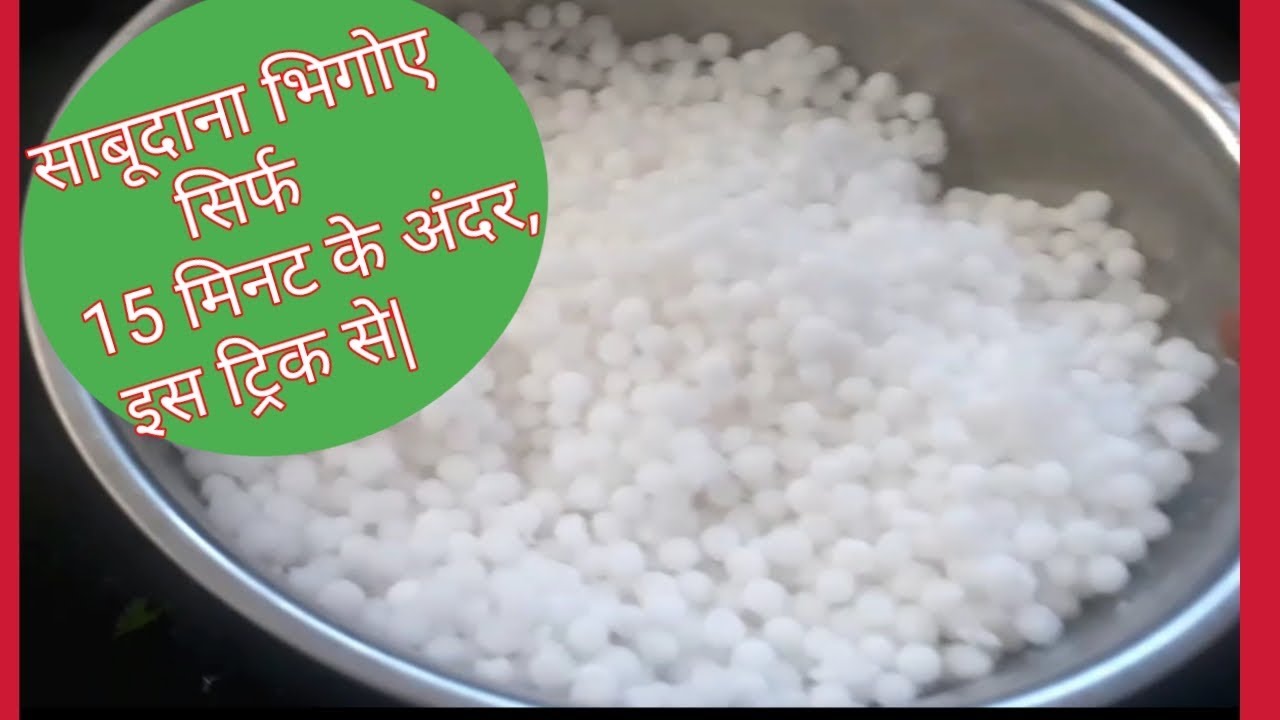 How To SOAK SABUDANA OR Sago pearls quickly | खिली खिली साबूदाने बनाने ...