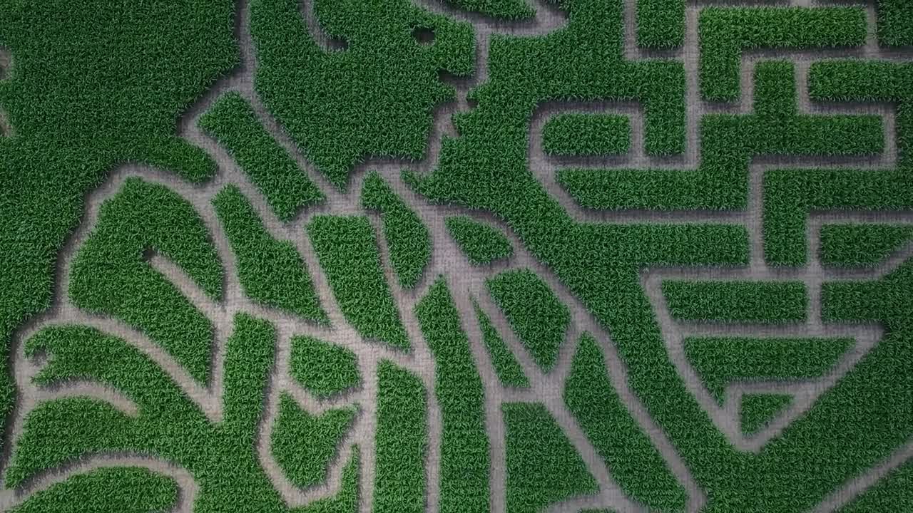 Gull Meadow Farms reveals Luke Bryan corn maze - YouTube