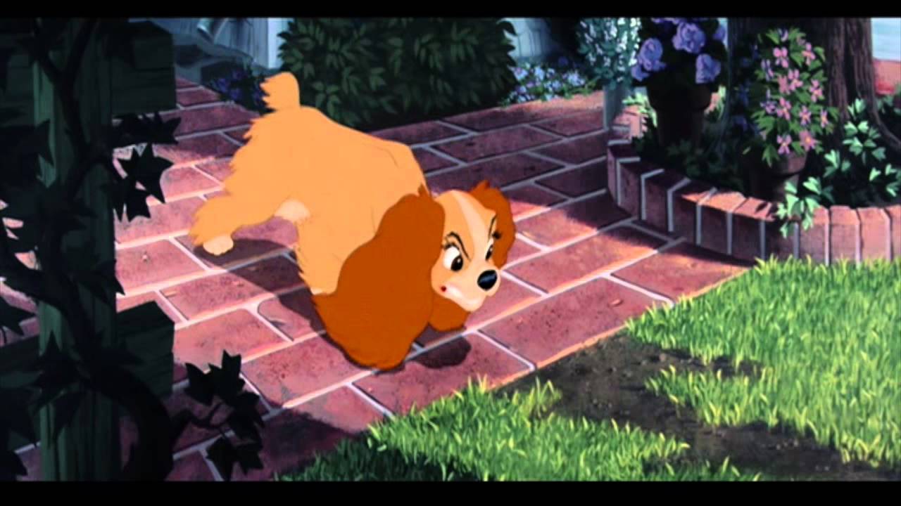 Lady Growls and Barks at Mal - YouTube