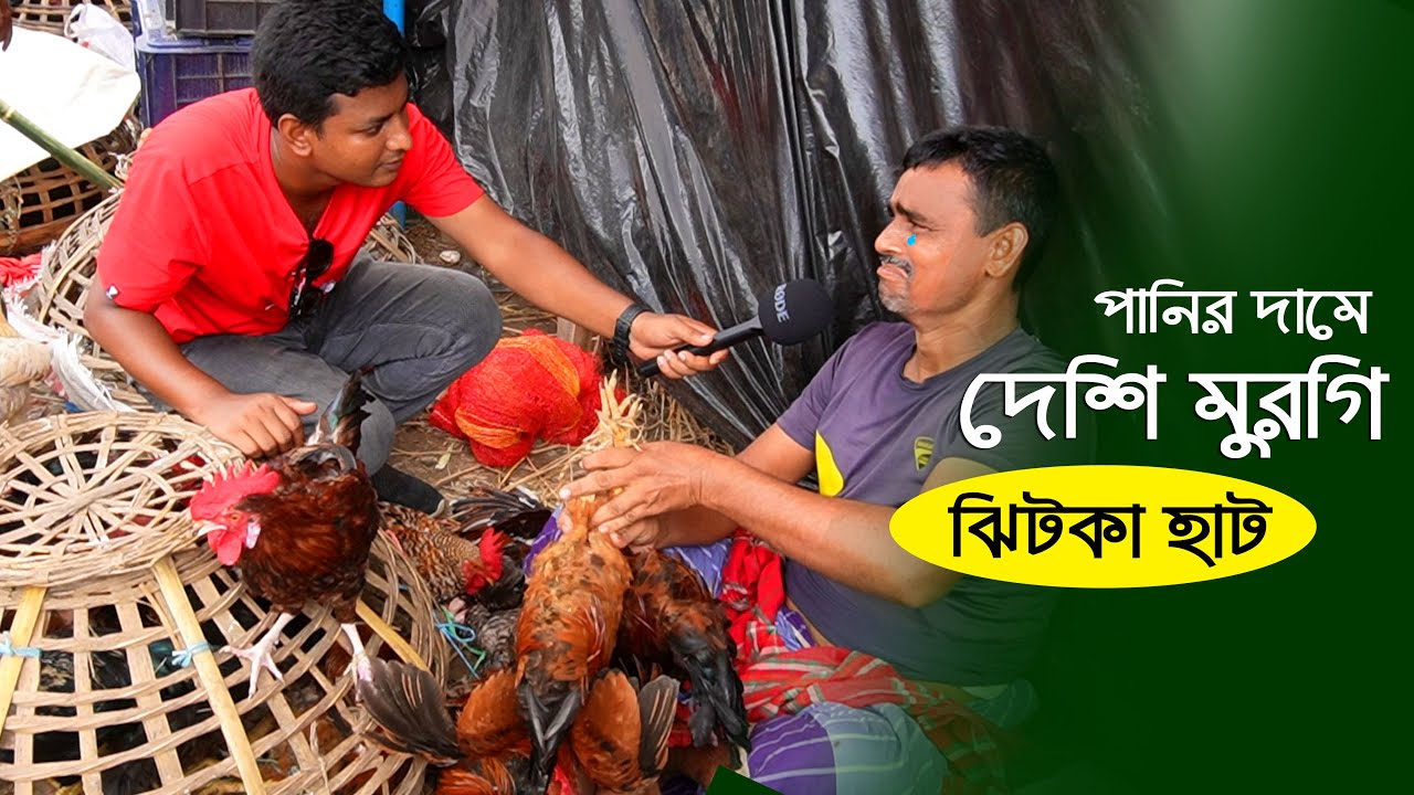 পানির দামে হাঁস মুরগি বিক্রি হচ্ছে মানিকগঞ্জের ঝিটকা হাটে - মুরগির হাট ...