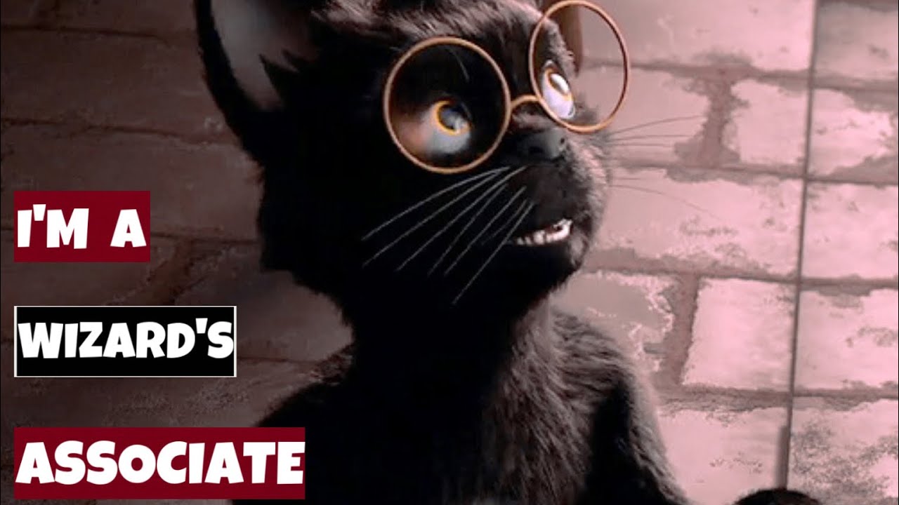 WIZARDS: Tales Of Arcadia - Archie the Cat WITTY Moments - YouTube