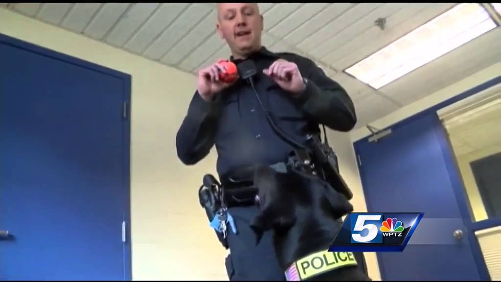 Hartford PD welcomes new K9 officer - YouTube