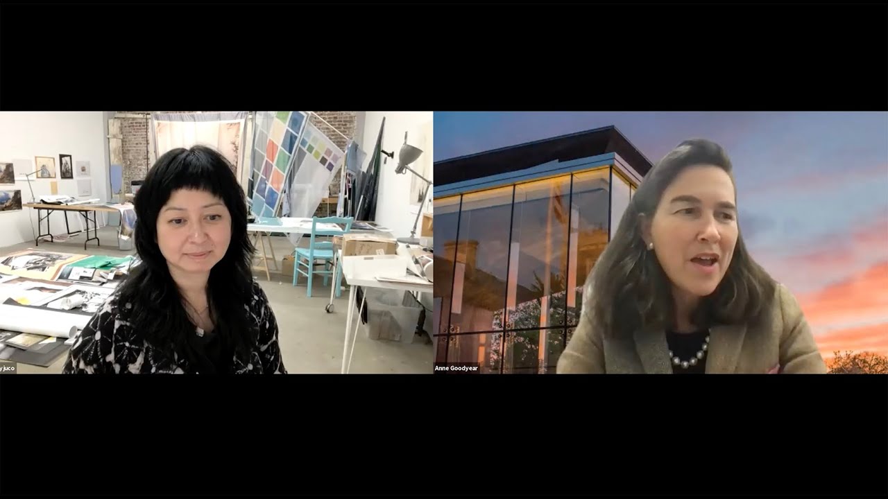 Stephanie Syjuco: Artist's Talk - YouTube