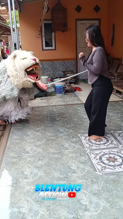 Cewe cantik lagi nyapu hampir dimakan can macanan tapi tidak kena - YouTube