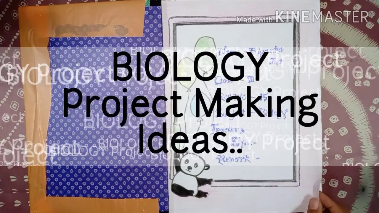 Project file design l Biology Project Design l File decoration ideas l ...