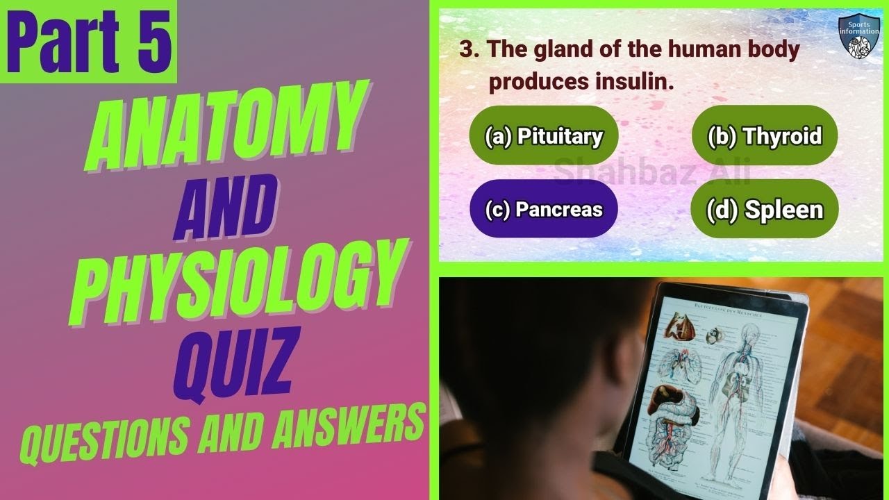 anatomy and physiology quiz questions and answers | human anatomy and ...