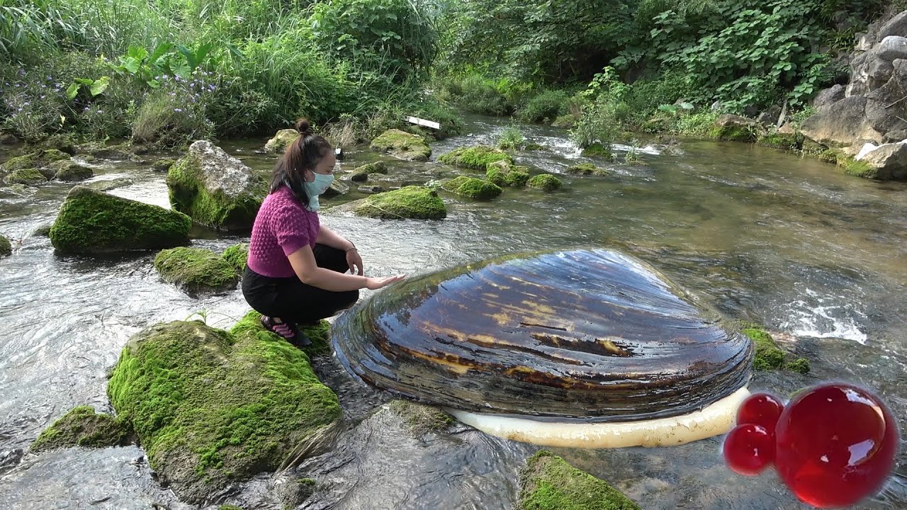 The clams growing in high-quality freshwater streams bring me ...