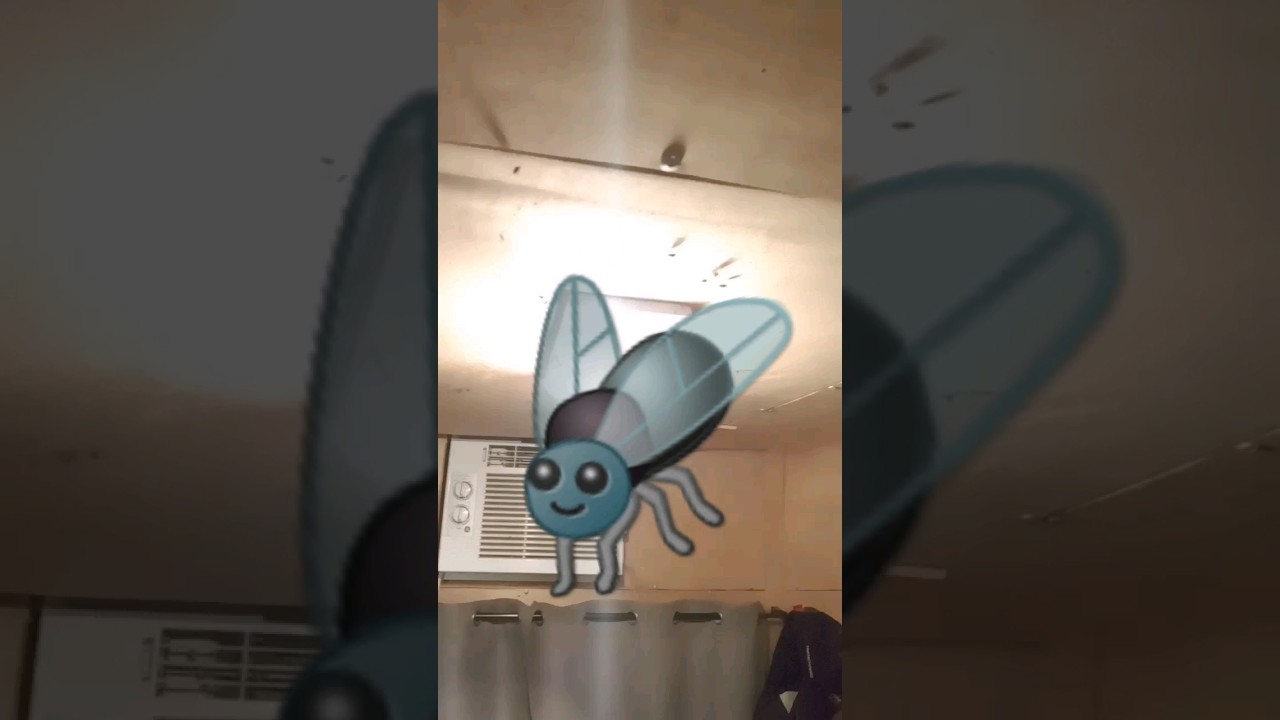 bugs man.. bugging me lol #camperlife - YouTube