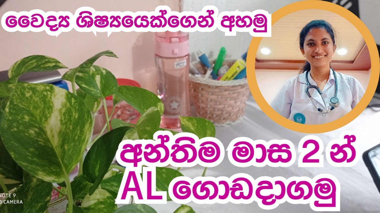 Last two months study secrets| study for AL| medical student tips - YouTube