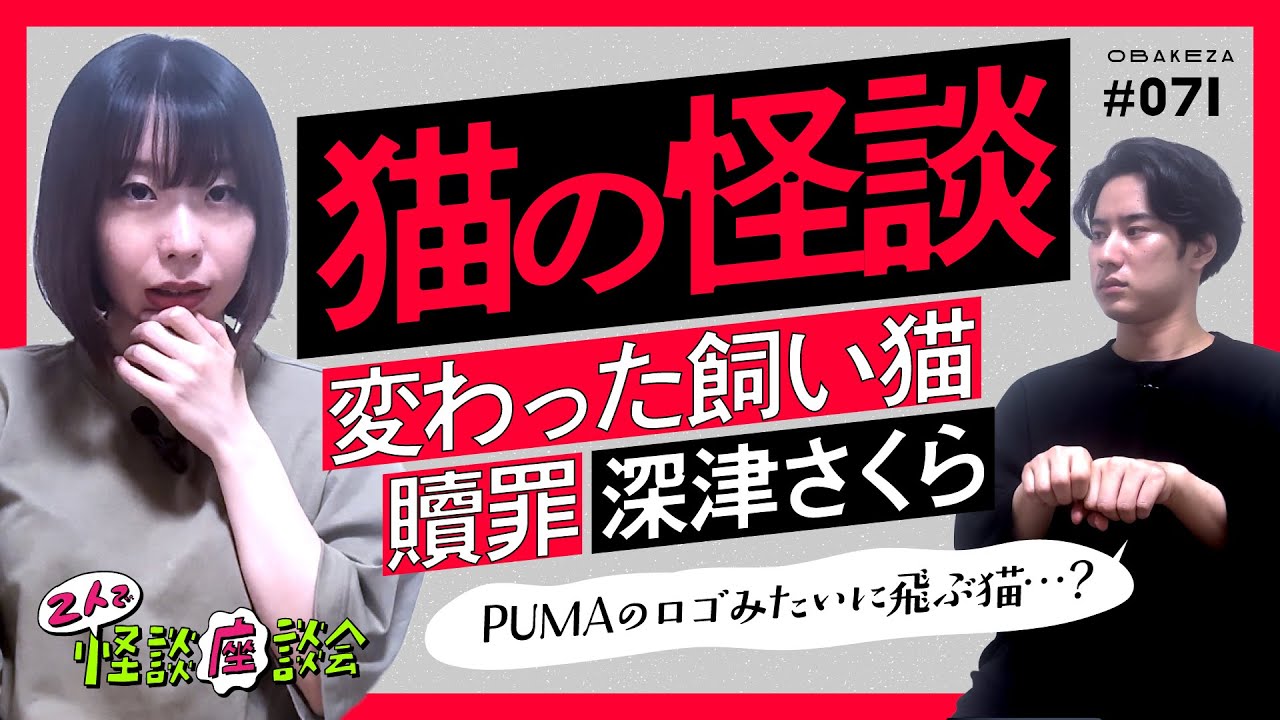 【怪談】猫の怪談〜変わった飼い猫、贖罪〜 深津さくら〜2人で怪談座談会〜【 おばけ座】 071 Youtube