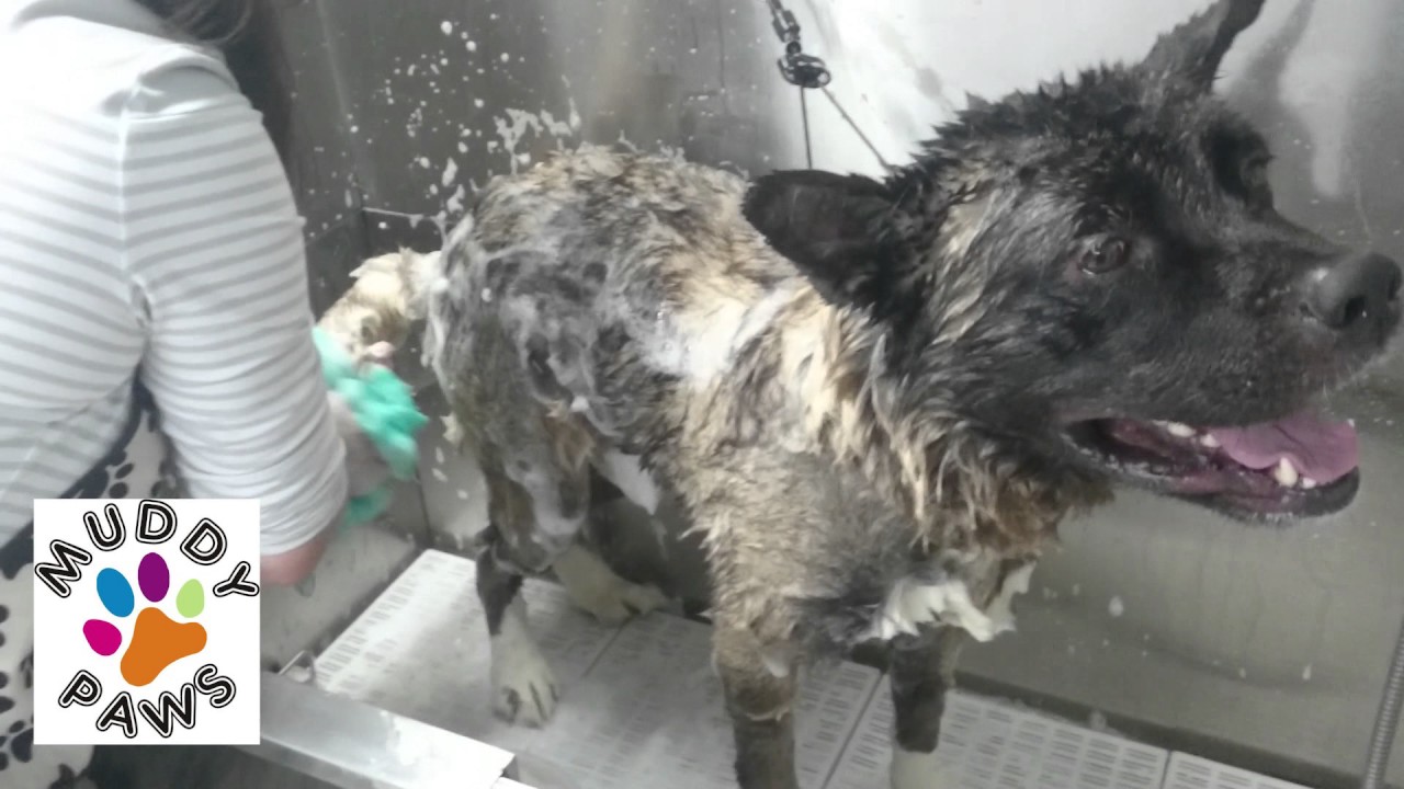 From Death Row to Dapper: Tyler-Bear gets a makeover - YouTube