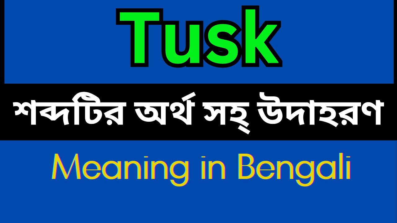 Tusk Meaning In Bengali /Tusk mane ki - YouTube