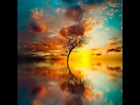 Technical BaBa video Live Stream - YouTube