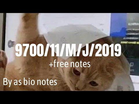 9700/11/M/J/2019/guided solution for As biology - YouTube