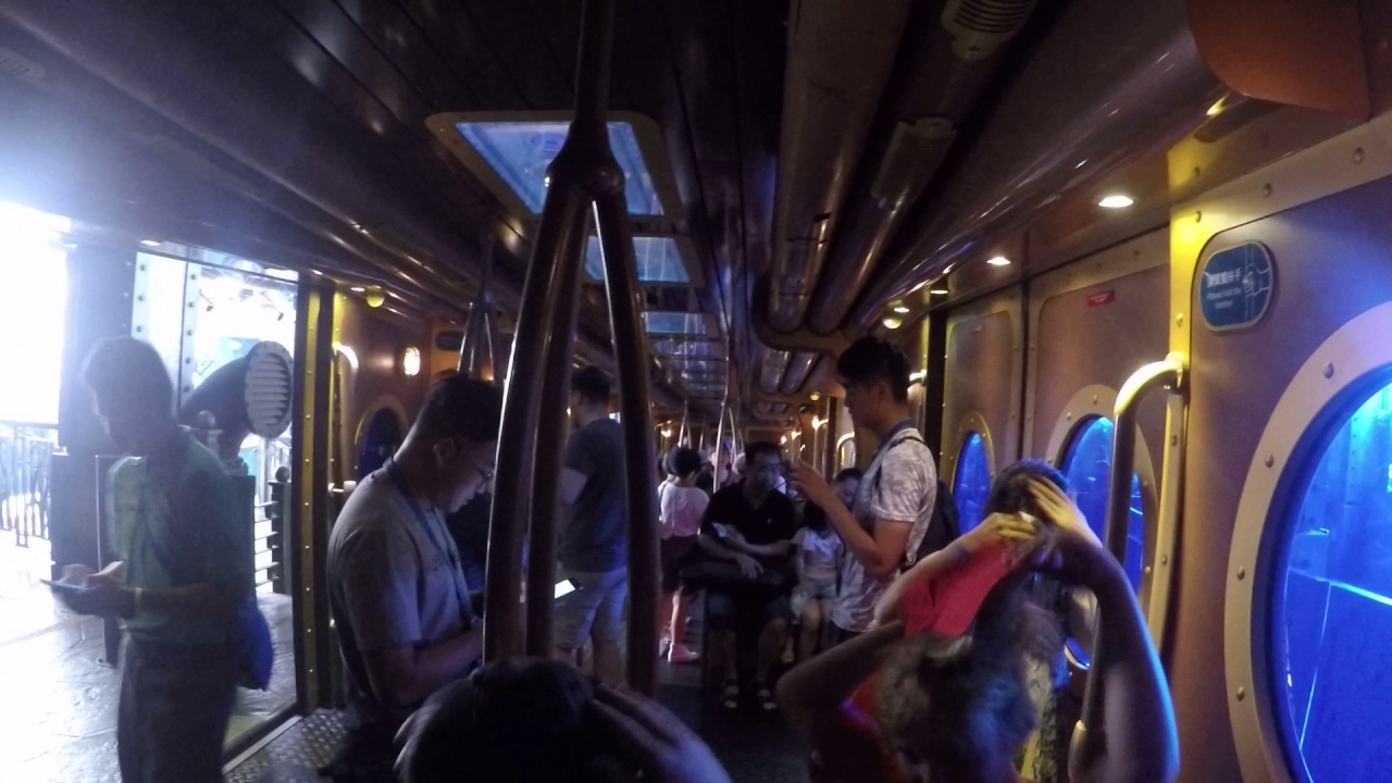 INSIDE the Ocean Park Express Train - Hong Kong Theme Park - YouTube