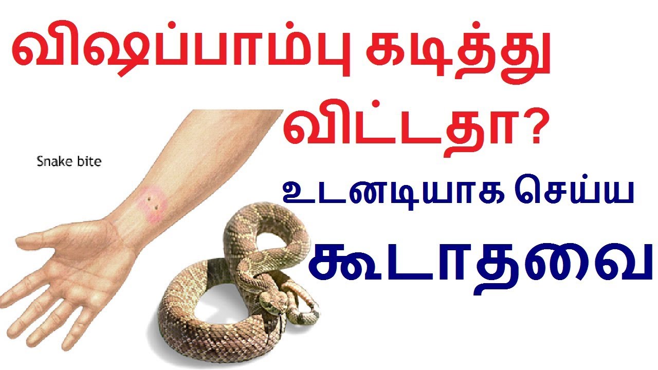 Snake Bite First Aid Procedure And Treatment In Tamil Snake Bite snake-bite-first-aid-procedure-and-treatment-in-tamil-snake-bite