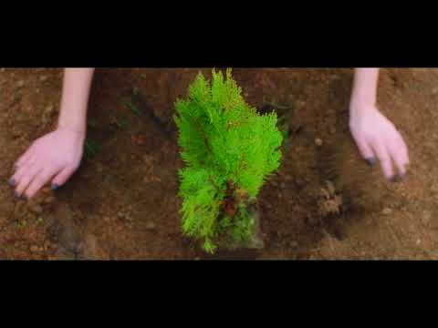 YEŞİL VATAN SEFERBERLİĞİ