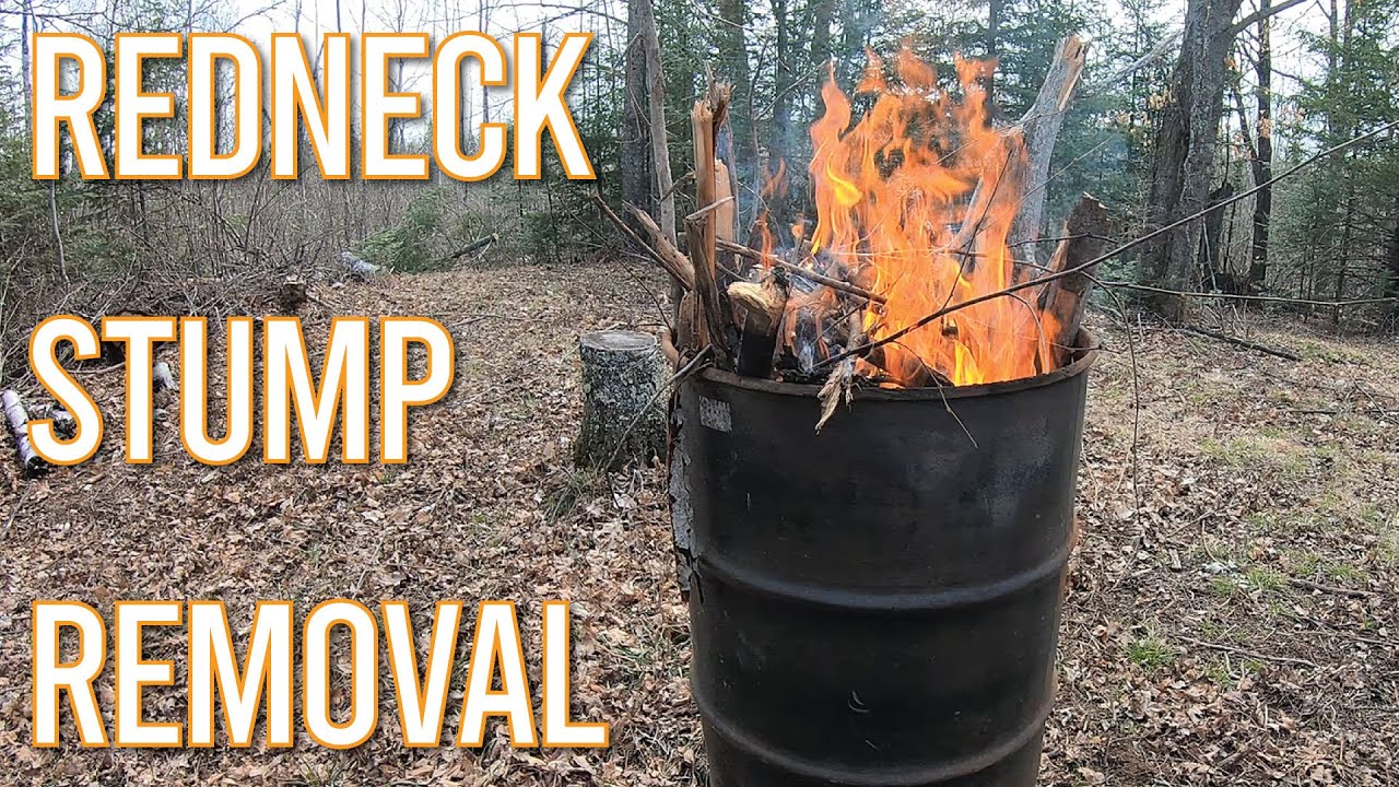 REDNECK Stump Removal // FIRE!! - YouTube