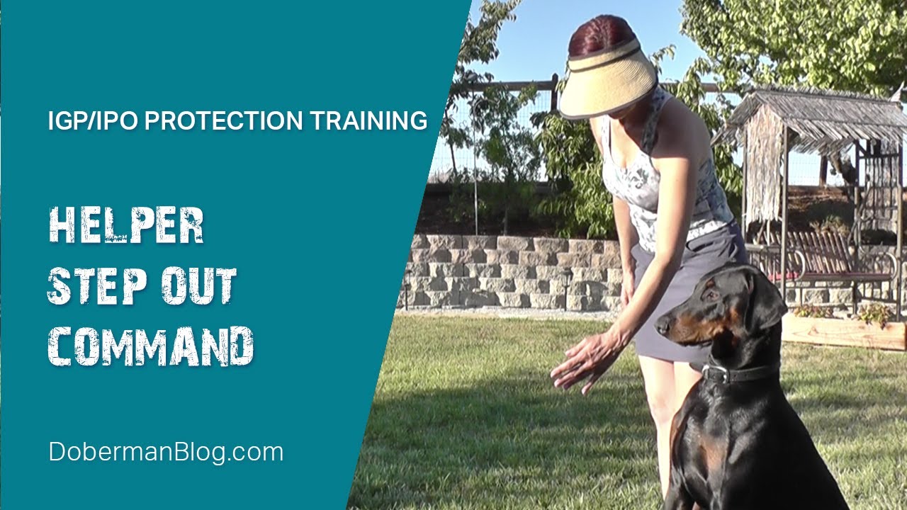 IGP/IPO protection: Helper step out command - YouTube
