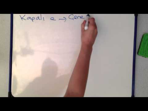 Diksiyon Dersleri - Okuma Kuralları 2