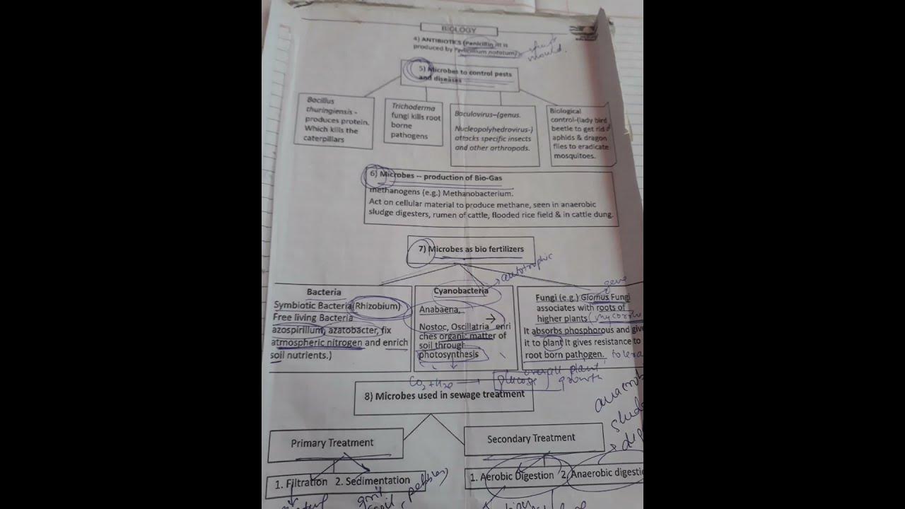chapter 10 flow chart class 12 biology - YouTube