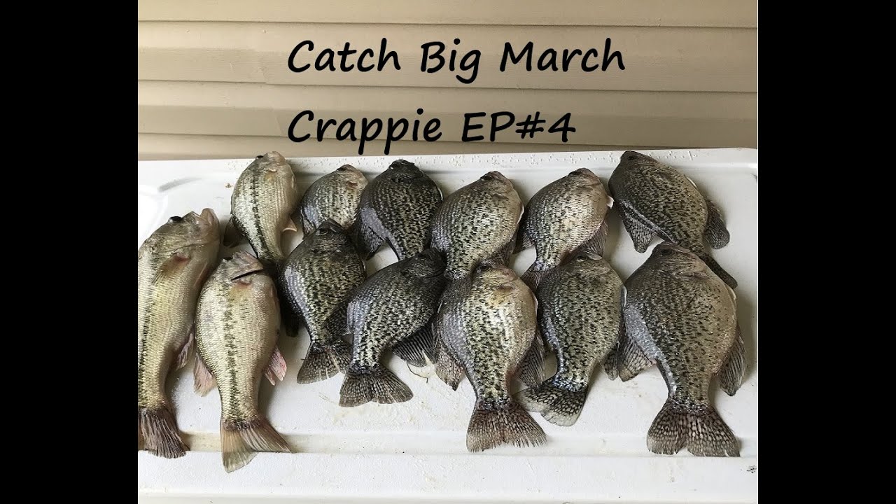 How to catch Big March crappie/Simple tactics for crappie/Tips,location ...