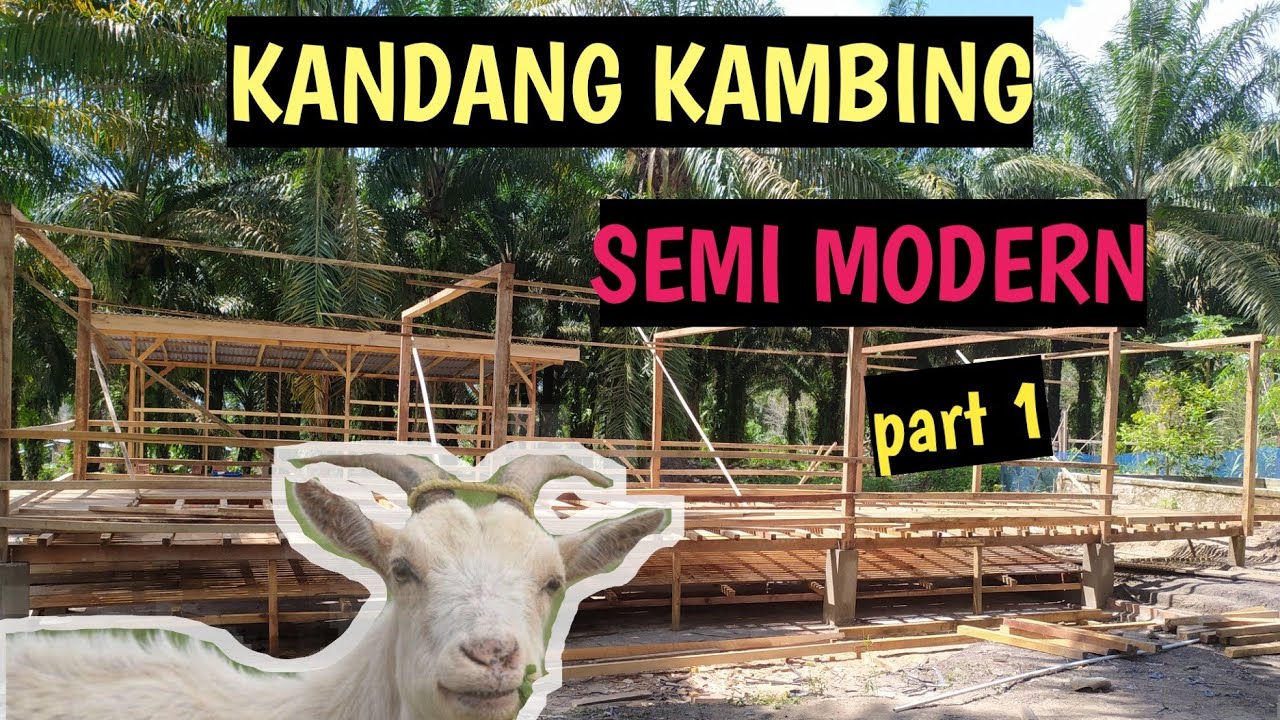 MEMBUAT KANDANG KAMBING MODERN || part 1 - YouTube