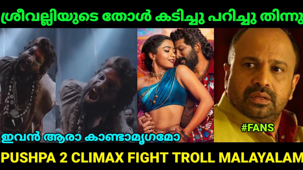 കഴുത്ത് കണ്ടാൽ കടിച്ച് പറിക്കും 😂🤣 | Pushpa 2 Movie Fight Scene Troll ...