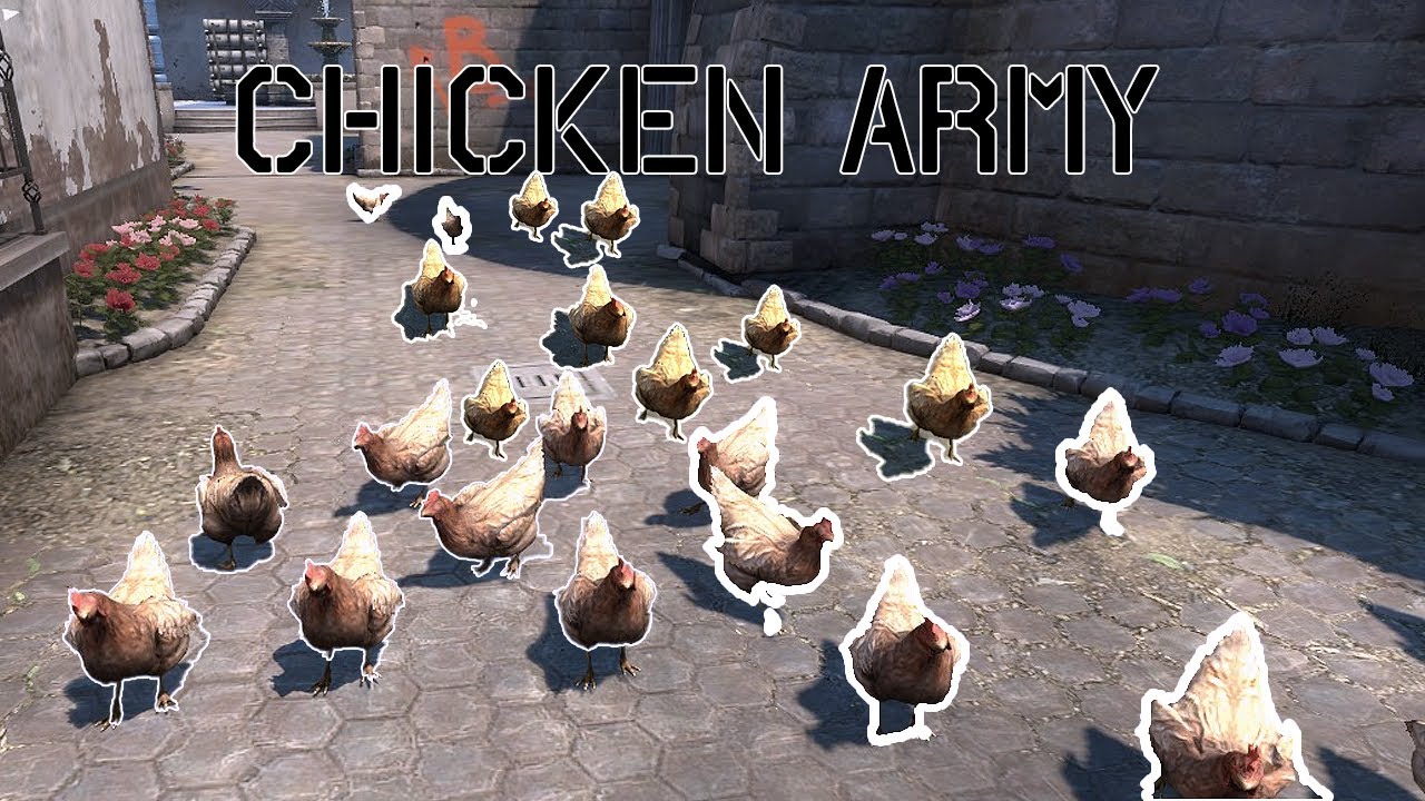 The Chicken Army - YouTube