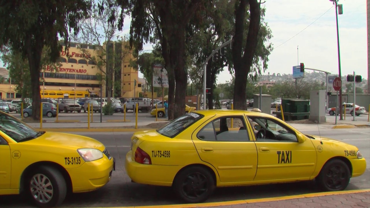 Tijuana Cracks Down On Yellow Taxis Amid Harassment Of Tourists And ...