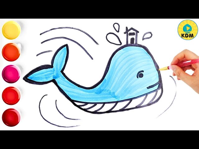 How To Draw Blue Whale For Kids