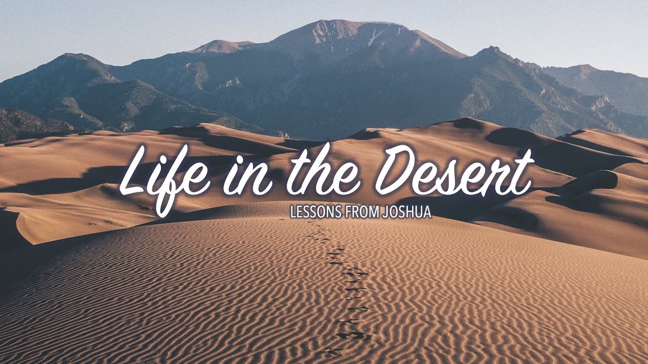 Step Into It - July 9 PM - Dave Clark - YouTube