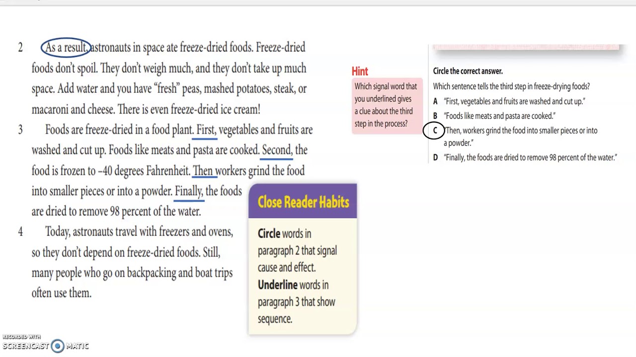 Grade 3 ELA Day 2: Describing Connections - YouTube