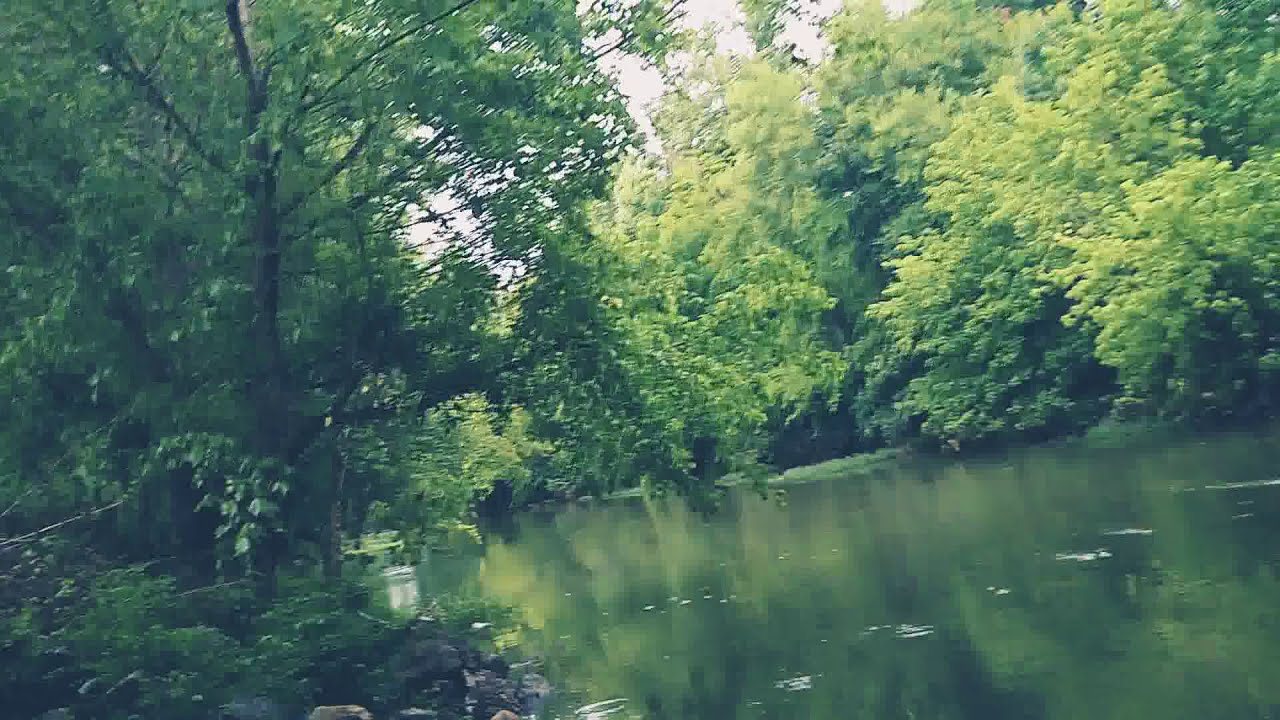 Hanging out with some birds,with Mark braden - YouTube