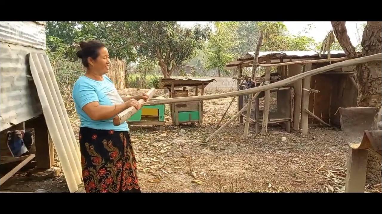 saib peb mu zom pob kw nawb - YouTube