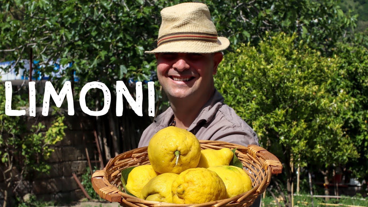 Venite ad assaggiare i nostri limoni Napoletani🍋, seguimi per napoli ...
