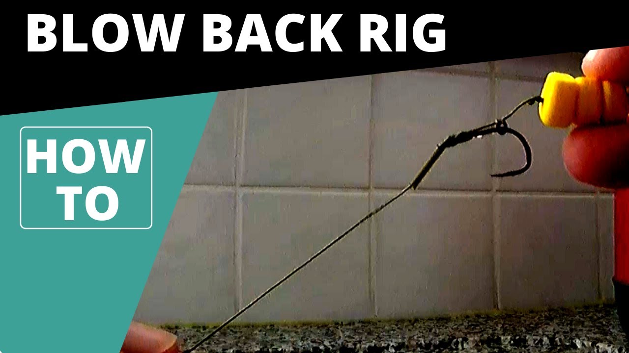 HOW TO TIE - Blow Back Rig - YouTube