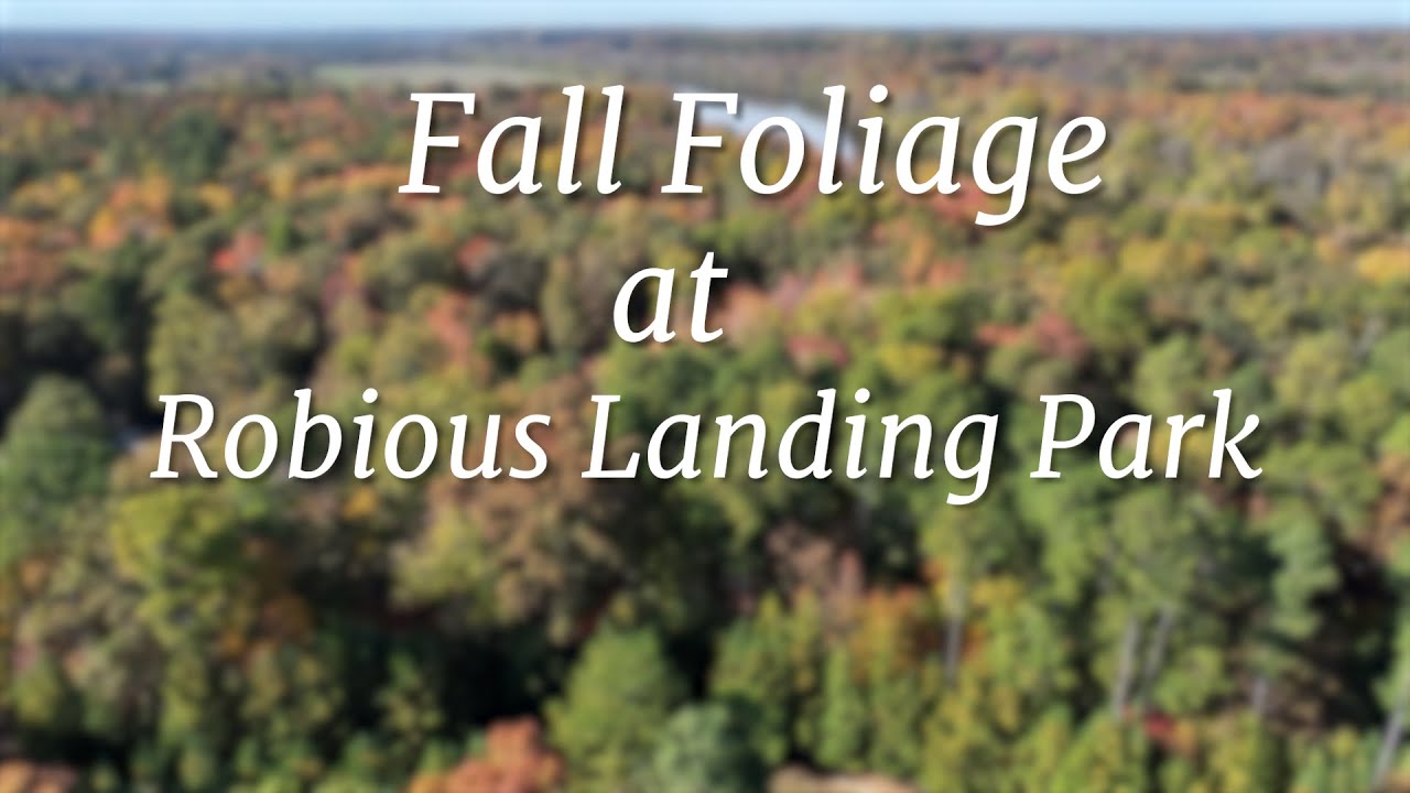 Fall foliage at Robious Landing Park - YouTube