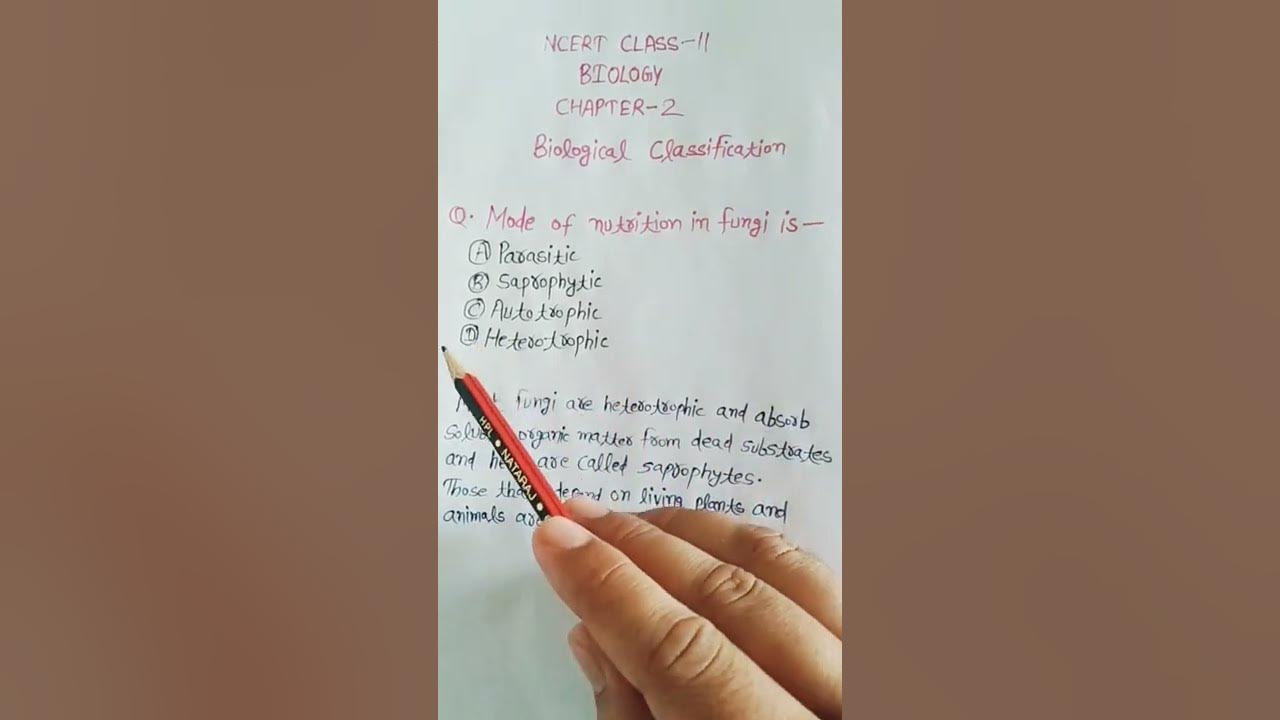 Kingdom Fungi Mode Of Nutrition In Fungi Biological Classification shorts shortvideo kingdom-fungi-mode-of-nutrition-in-fungi-biological-classification-shorts-shortvideo