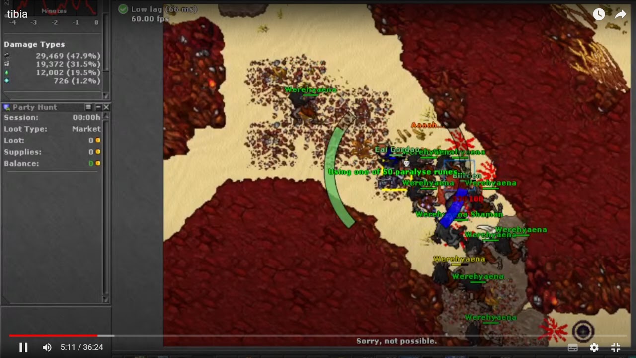 tibia ED 500+ hunt MS e ED - YouTube