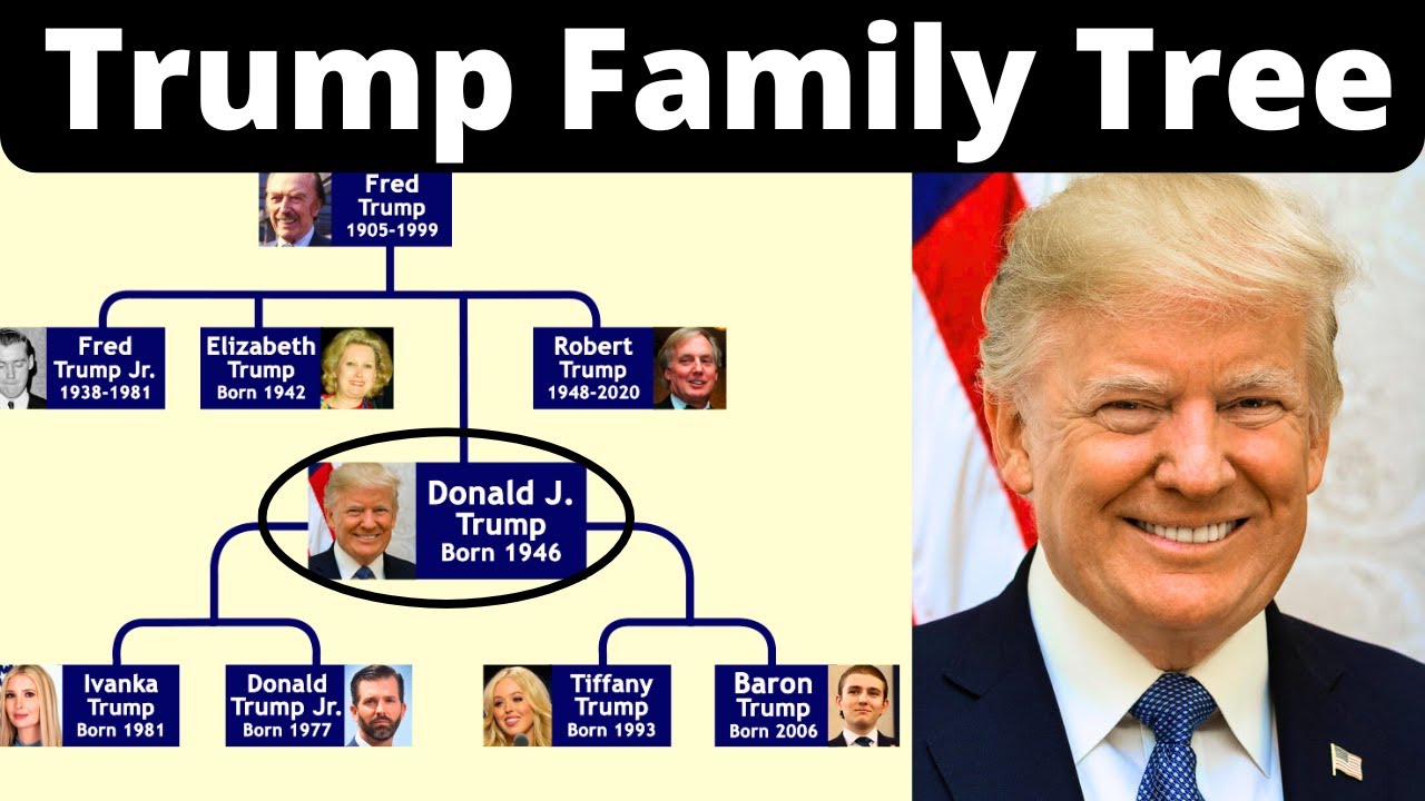 Donald Trump Family Tree | Trump's German Roots Explained - YouTube