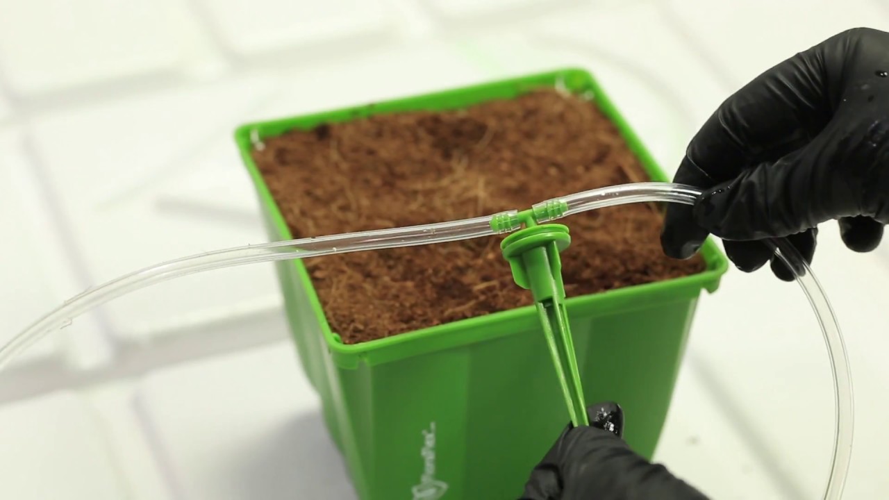 FloraFlex® - T Subsurface Drippers - YouTube