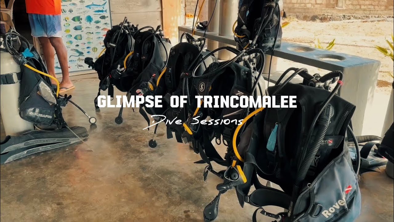 Scuba Diving in Trincomalee, Sri Lanka: Breathtaking Underwater Exploration - YouTube