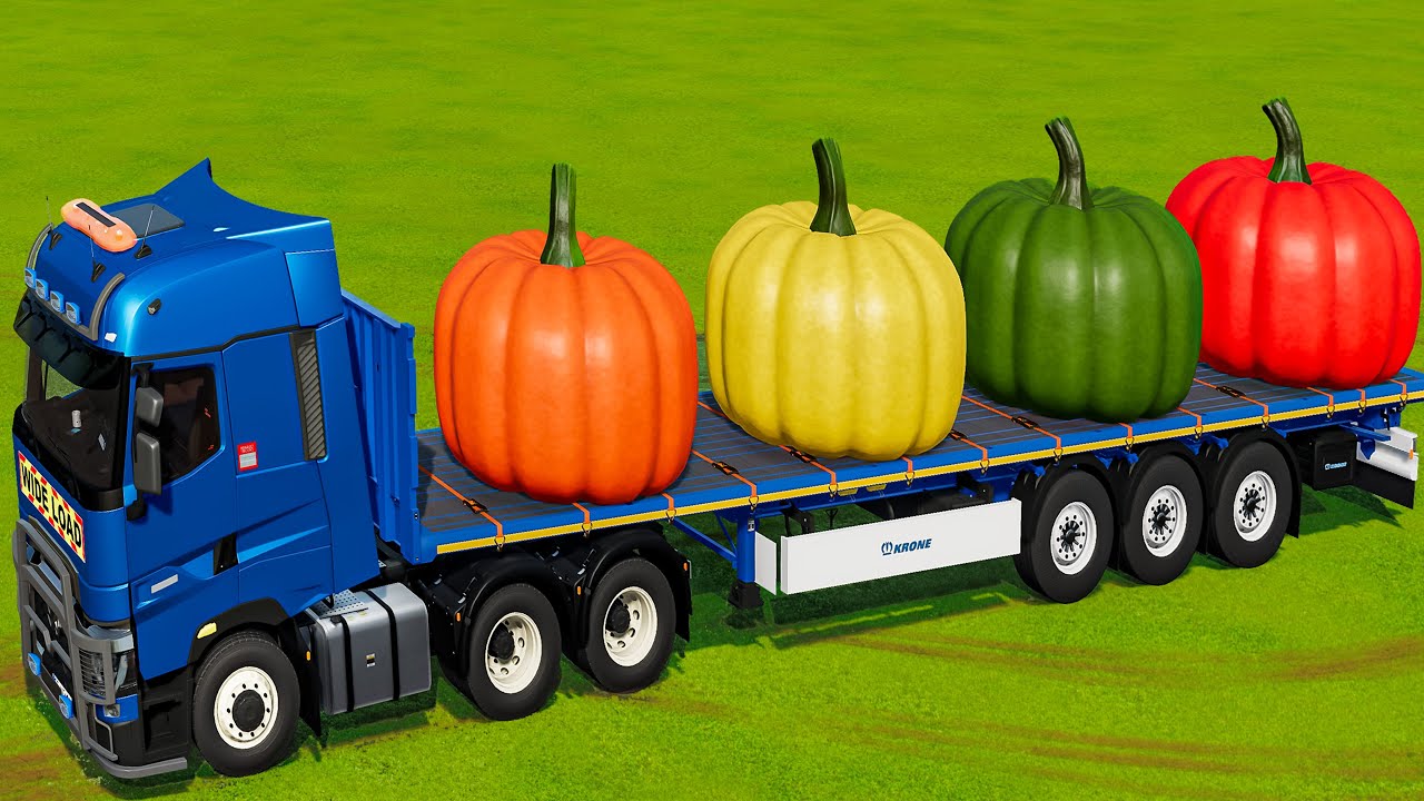 LAND OF COLORS! HUGE PUMPKIN TRANSPORTING with CAT LOADER & TRUCKS ...