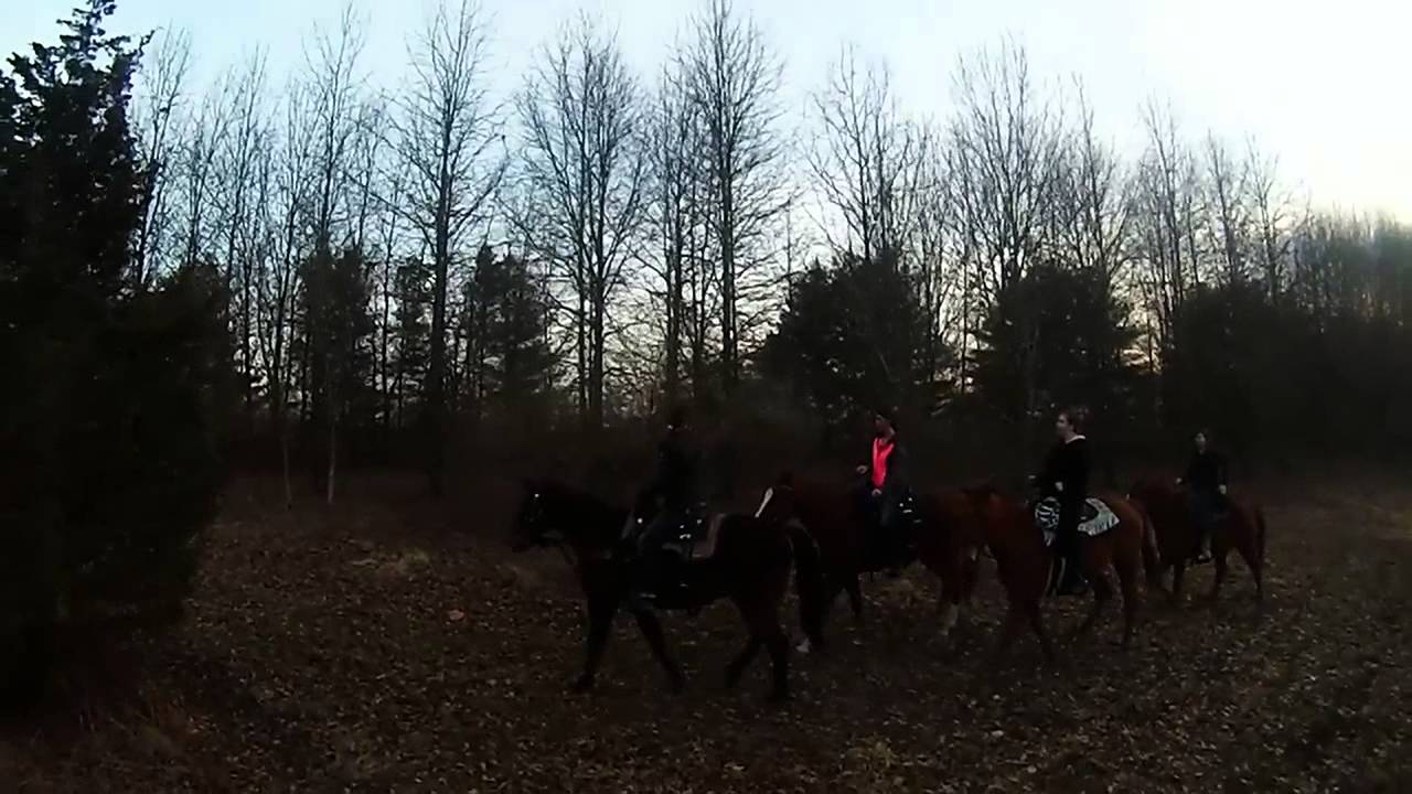 Willow Creek Stables Trail Ride 3/15/2014 - YouTube